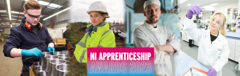 NI Apprenticeship Week (NIAW) 2023 – call for company events ...